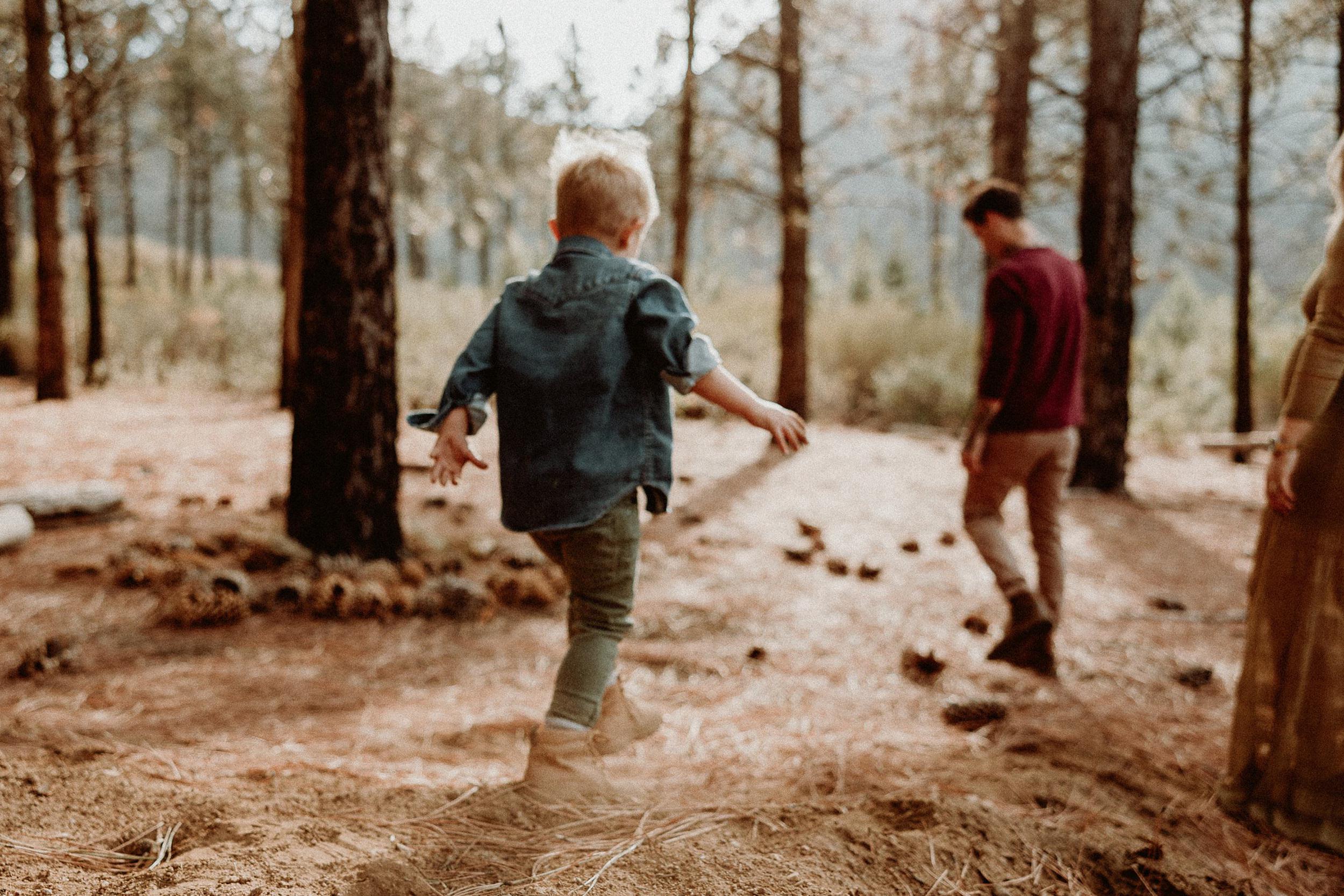 Los Angeles Family Photos in the Forest