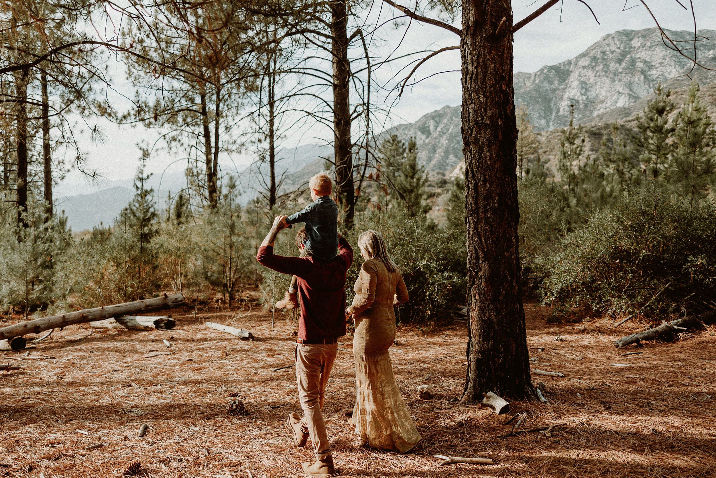 Los Angeles Family Photos in the Forest