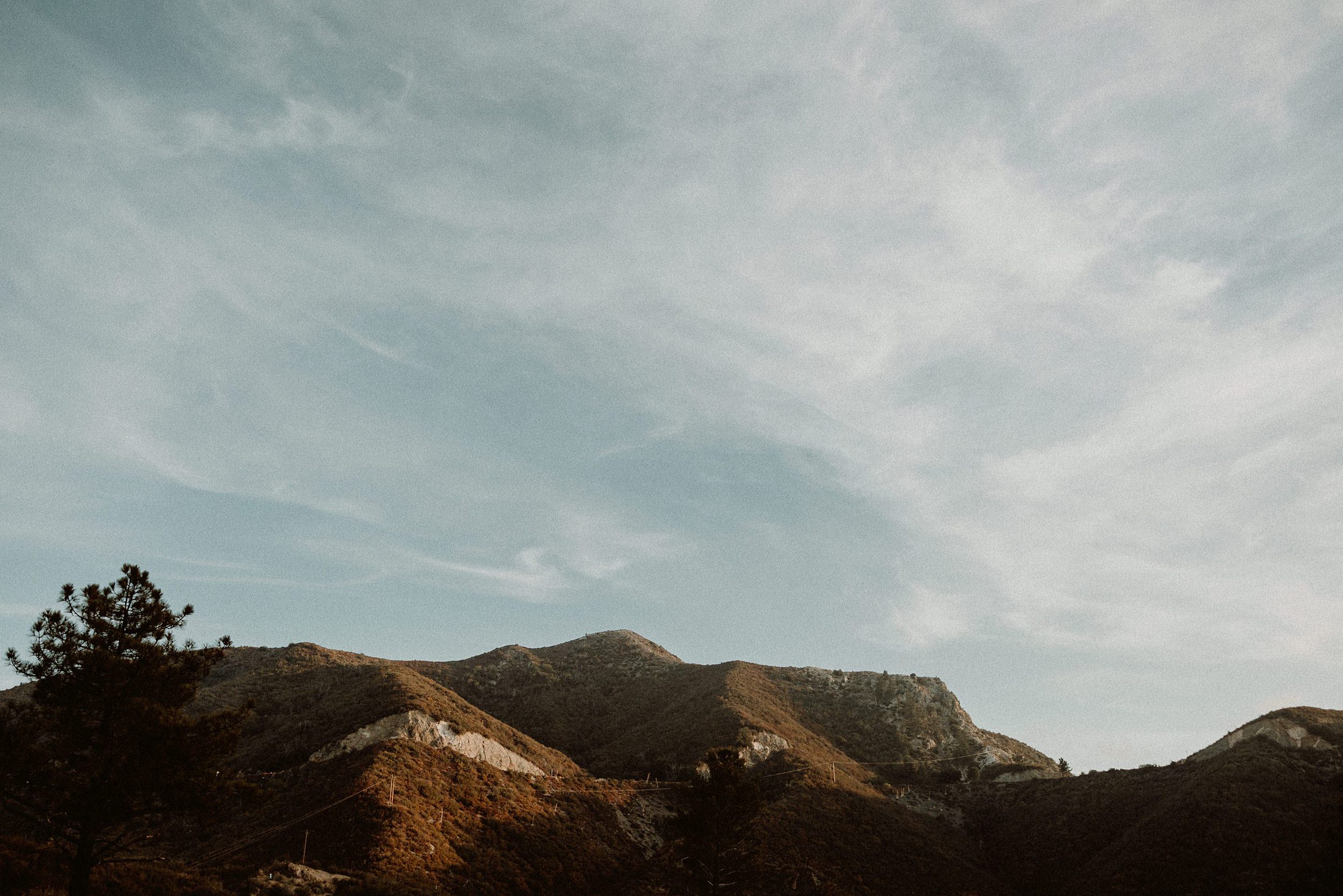 Los Angeles Family Photos in the Forest